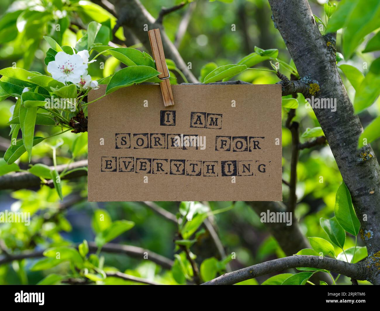 A piece of cardboard with words I am Sorry for Everything on it hanging ...