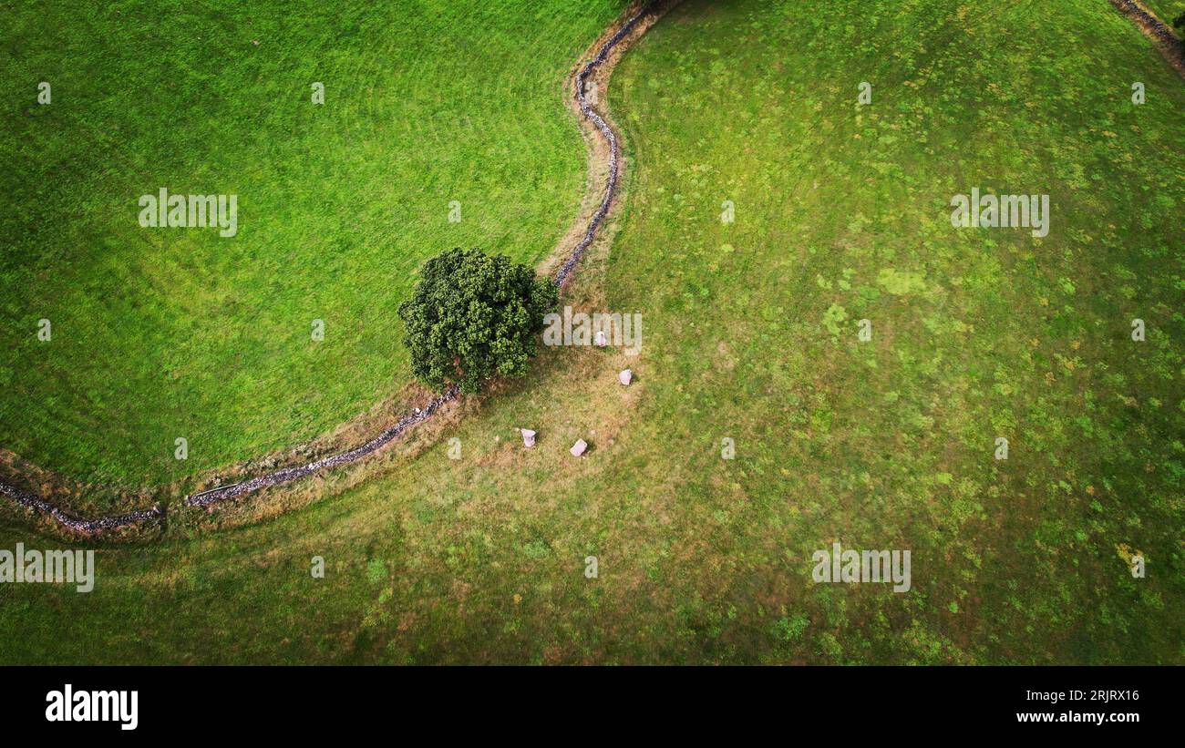 An aerial view of the Nine Stones Close Stone Circle in a lush green ...