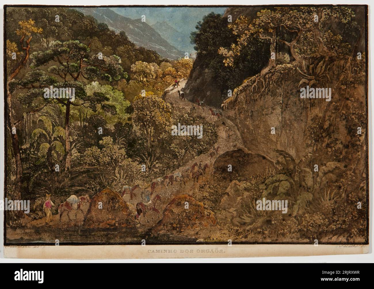 Caminho dos Orgaõs 1839 by Friedrich Salathé Stock Photo - Alamy