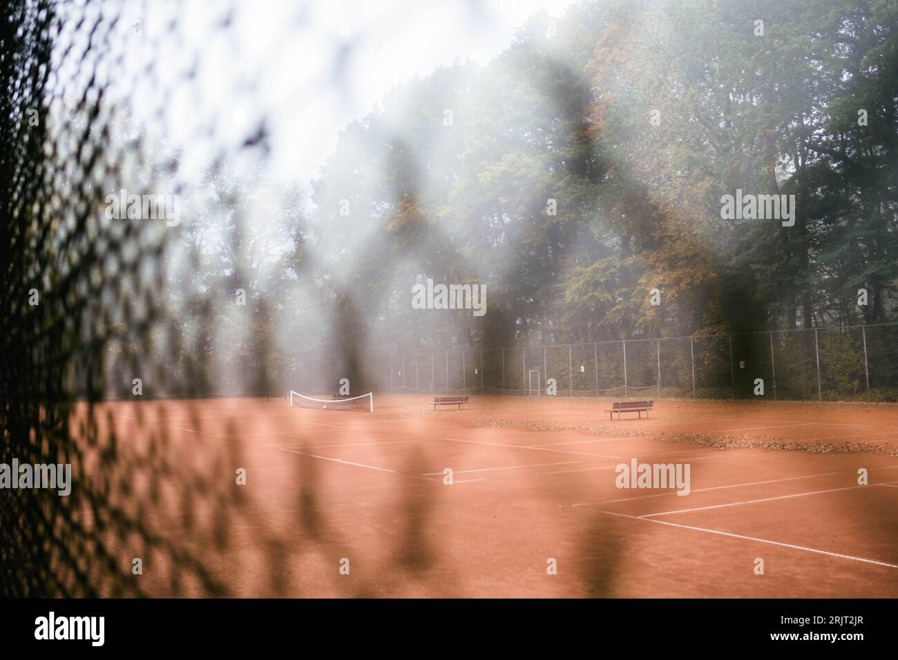 Horizontal shot on an empty tennis court in the forest in fog through a ...