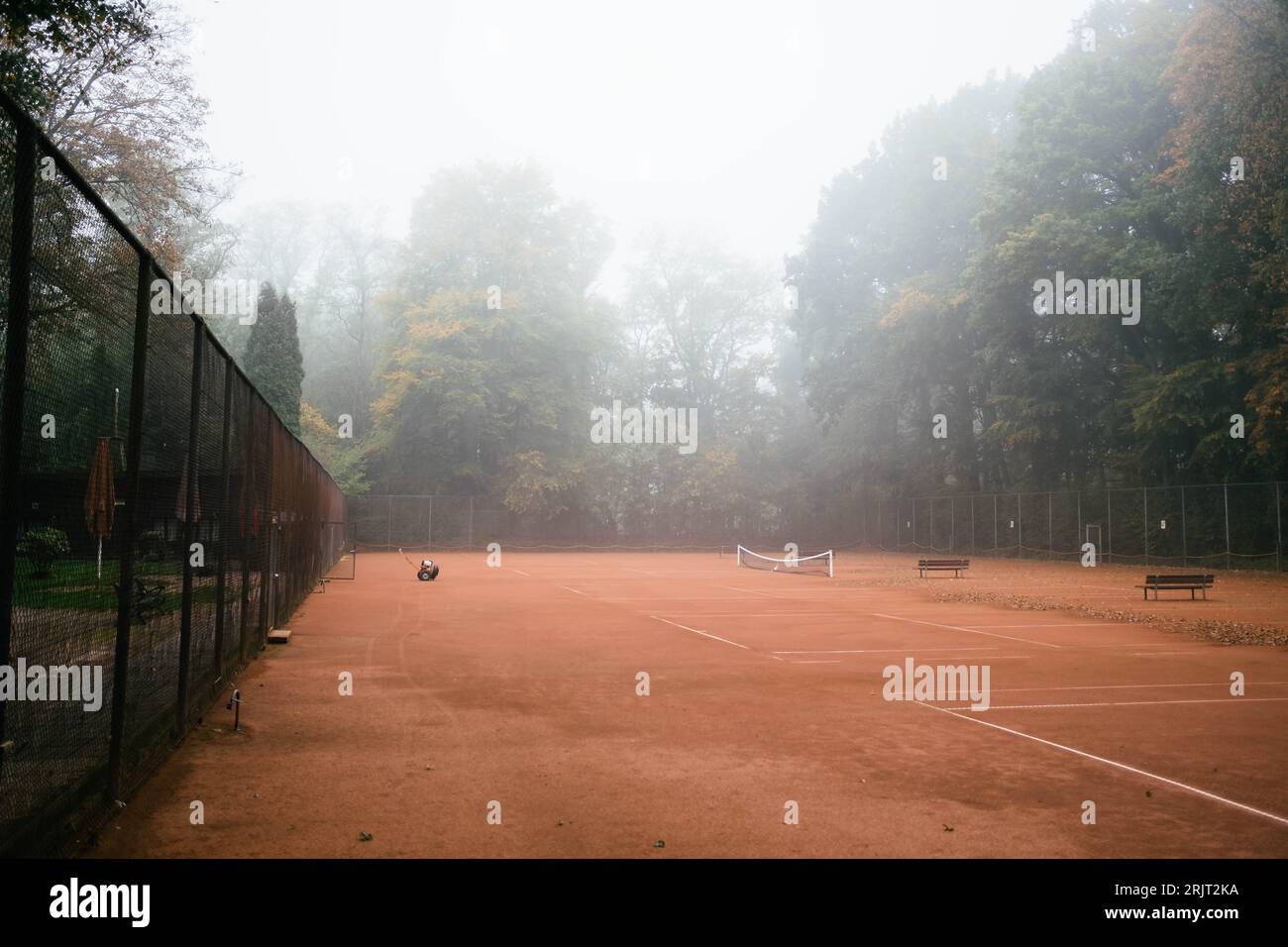An empty tennis court in the forest in fog. The tennis player is ...