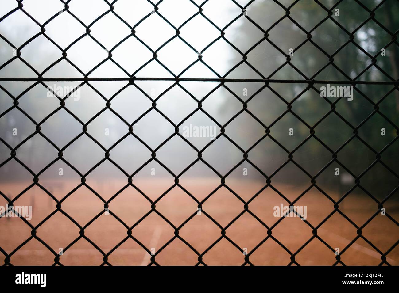 Horizontal shot on an empty tennis court in the forest in fog through a ...