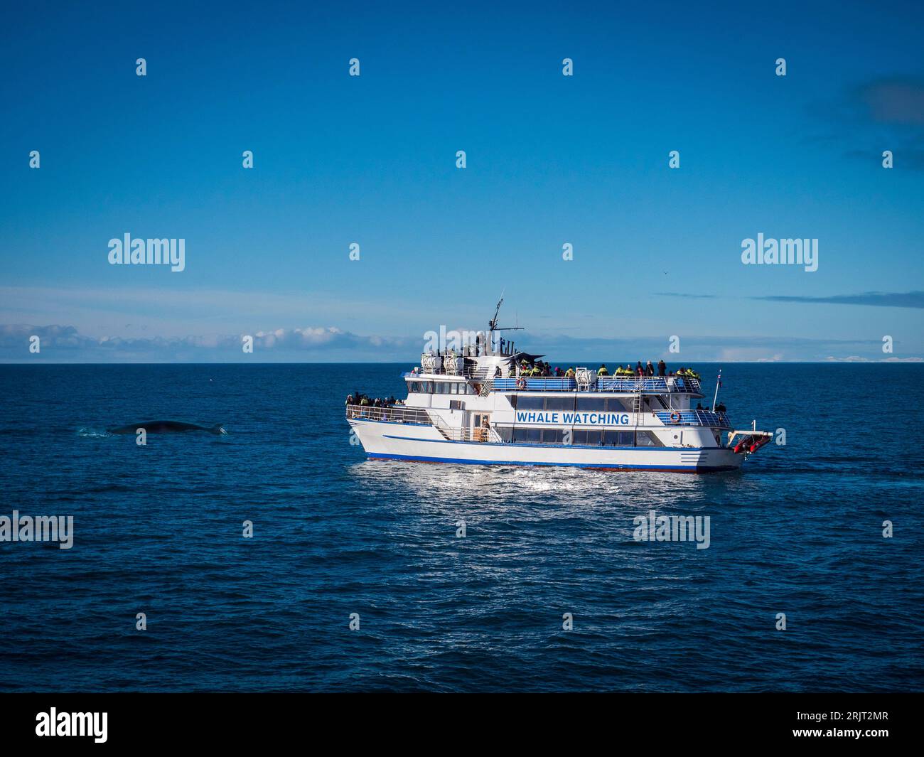 Photo of a majestic white boat sailing across the vast expanse of the ...