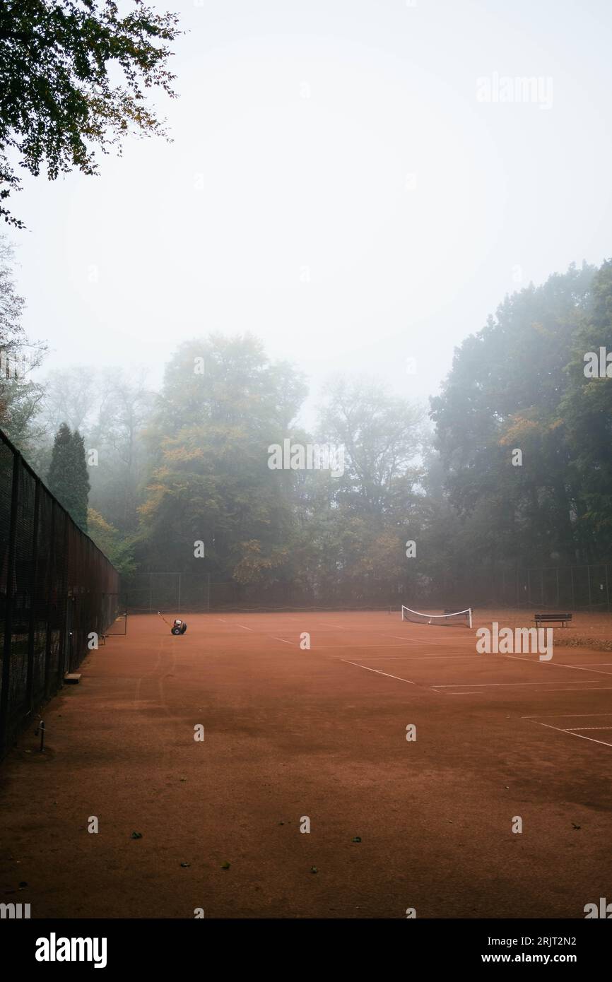 An empty tennis court in the forest in fog Stock Photo - Alamy