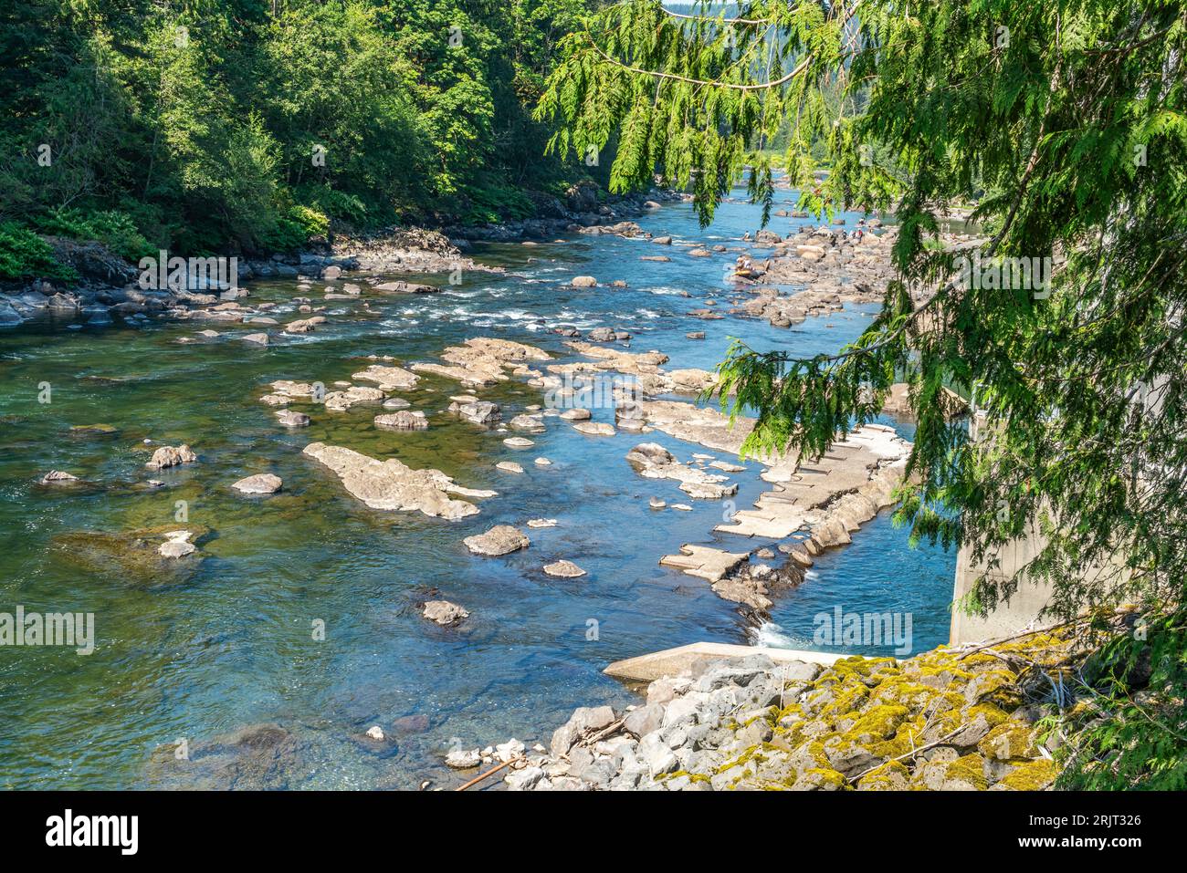 A view of the Snoqualmie River in the summer time. Located in ...