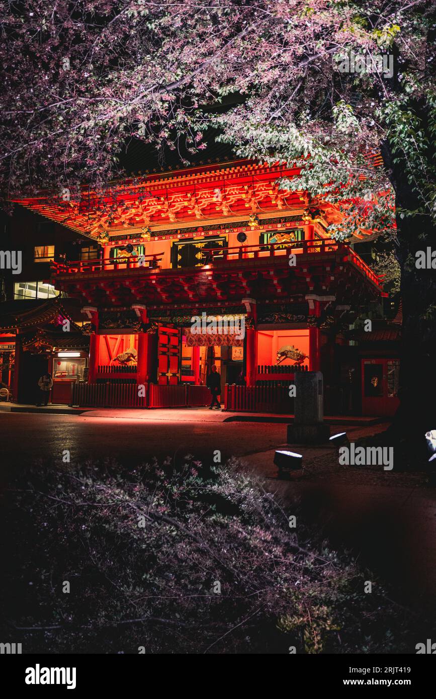 An atmospheric image of a traditional Japanese shrine illuminated at ...