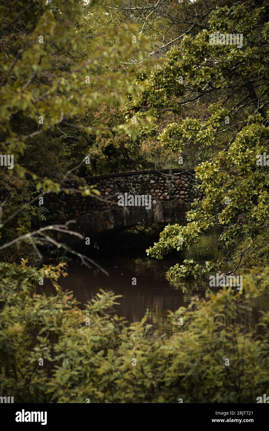 Bridgeviewpoint hi-res stock photography and images - Alamy