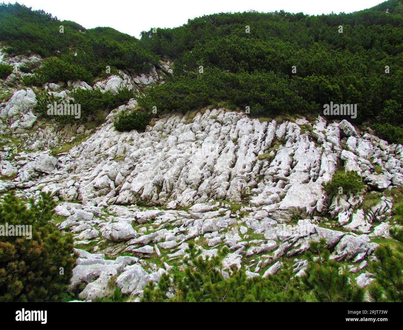 Karst formation of limestone pavement Stock Photo - Alamy