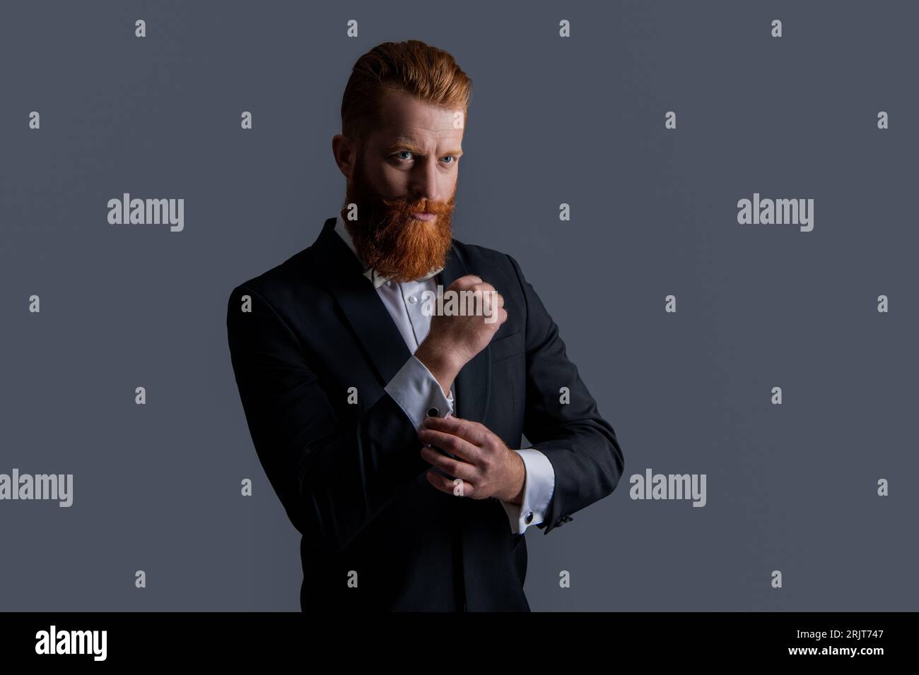 gentleman studio shot in tuxedo. gentleman wearing elegant tuxedo ...