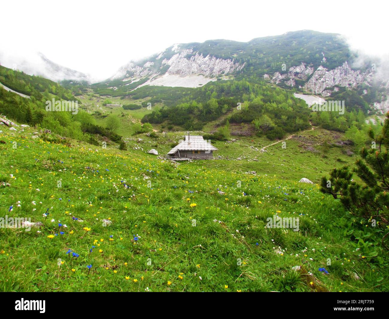 Alpine landscape at Koren pasture in Kamnik-Savinja alps with a ...