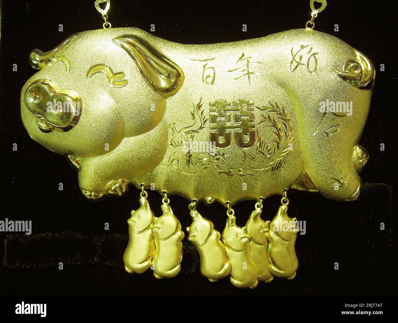 Schwein mit ferkeln hi-res stock photography and images - Alamy