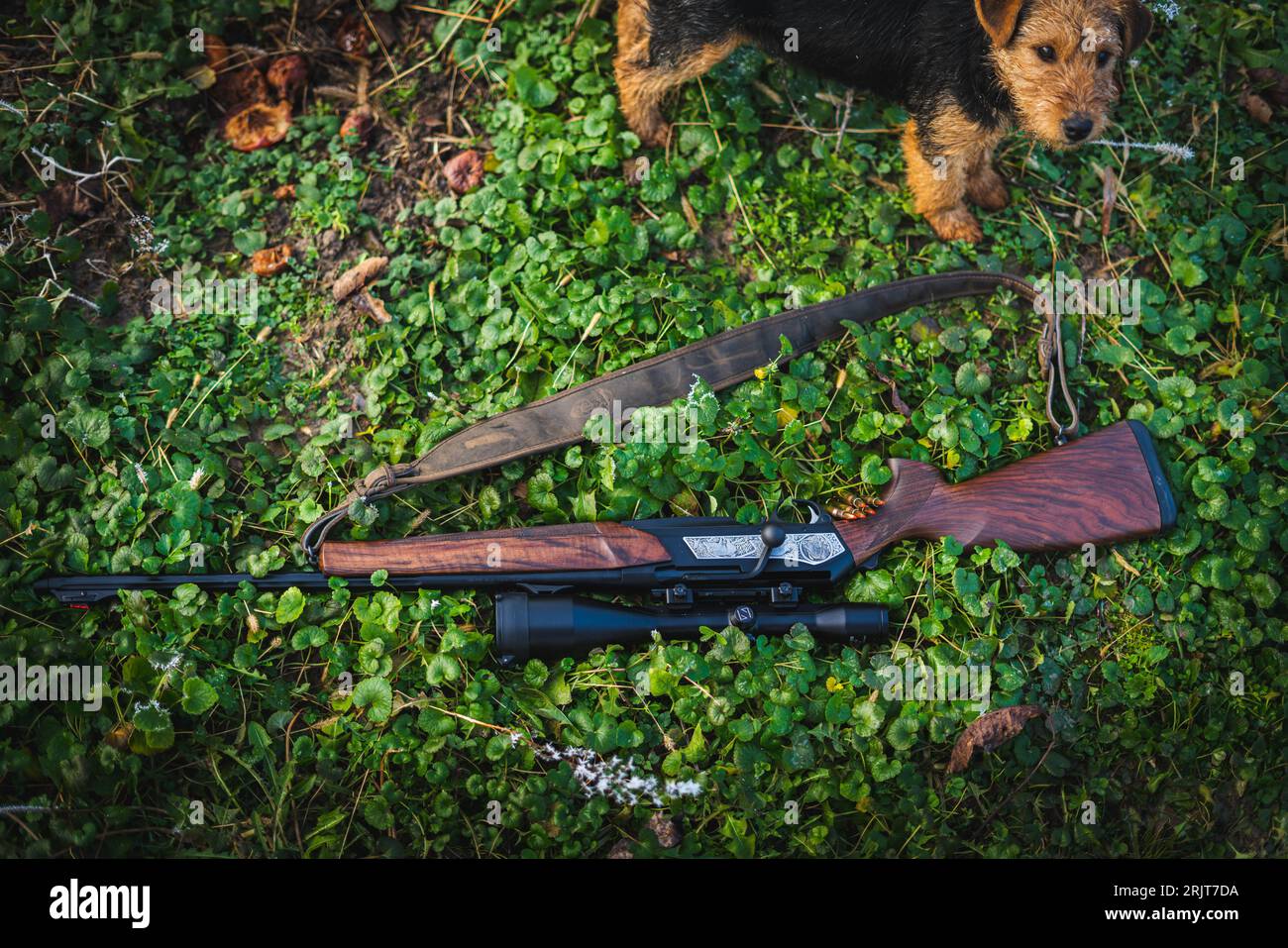 Soldier lying on ground gun hi-res stock photography and images - Alamy