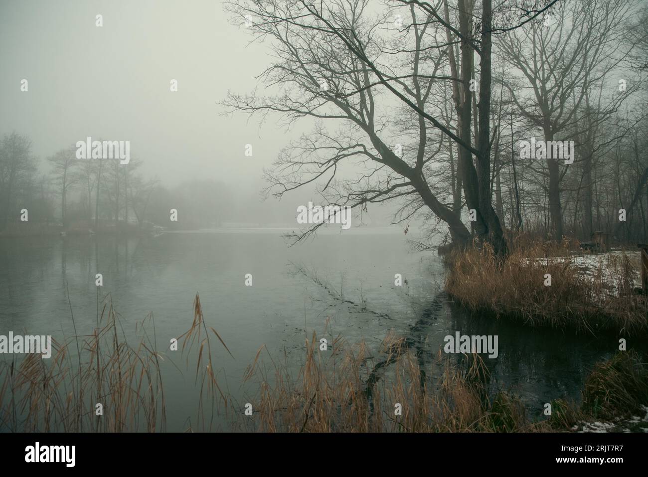 fog on the river, cold temperature Stock Photo - Alamy