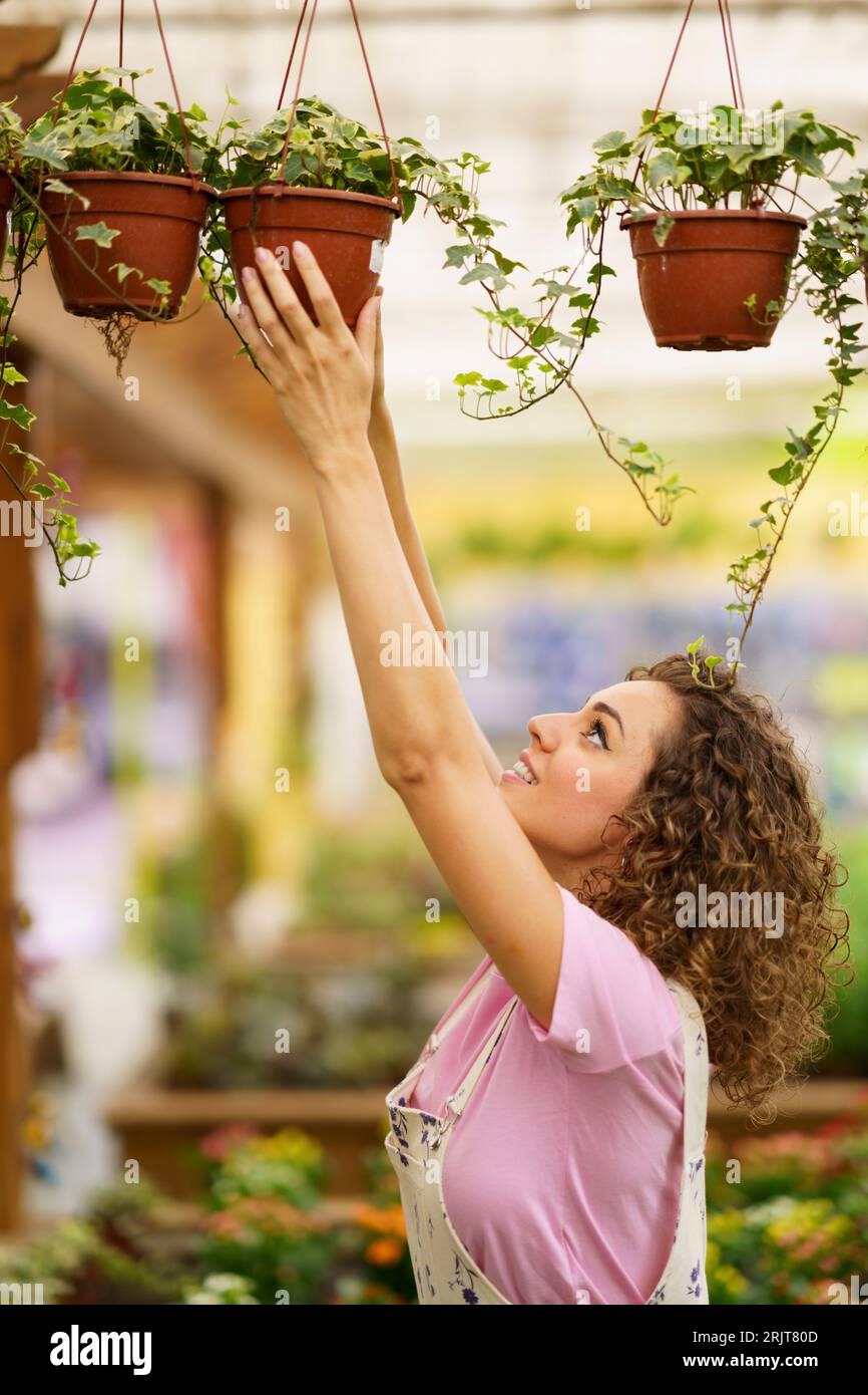 Florist with curly hair hanging plants in nursery Stock Photo - Alamy