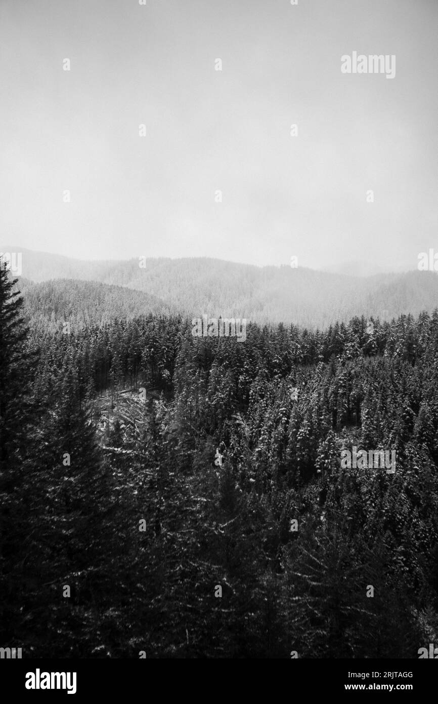 Fog rolling in Black and White Stock Photos & Images - Alamy