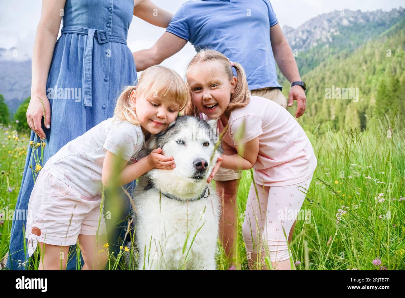 Cute sisters embracing dog on grass Stock Photo - Alamy