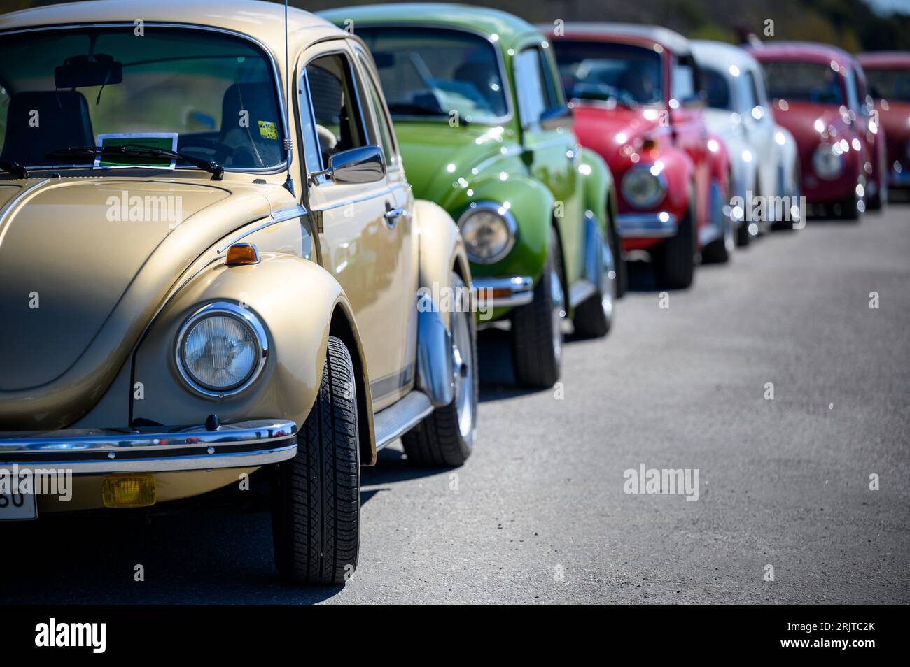 A row of classic Volkswagen beetle vehicles parked in a straight line ...