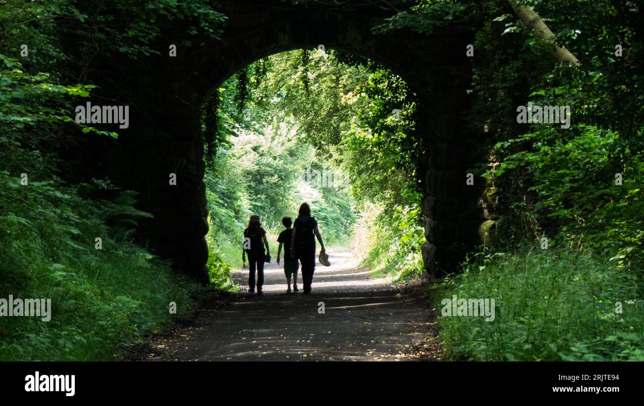 A scenic view of three people walking along a wooded road, under and ...