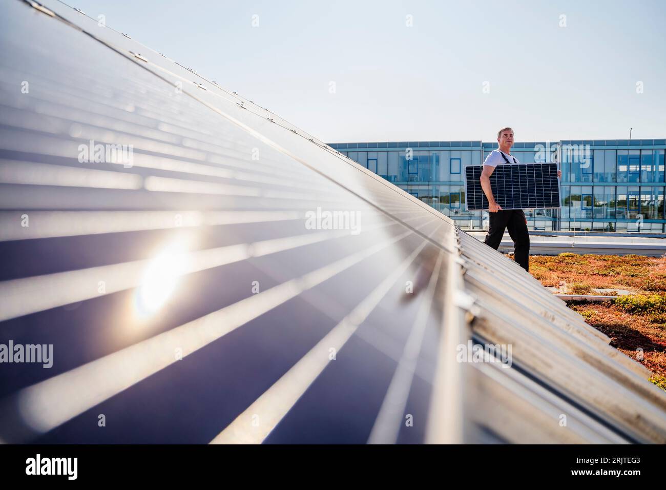 Craftsman carrying solar panel on the roof of a company building Stock ...