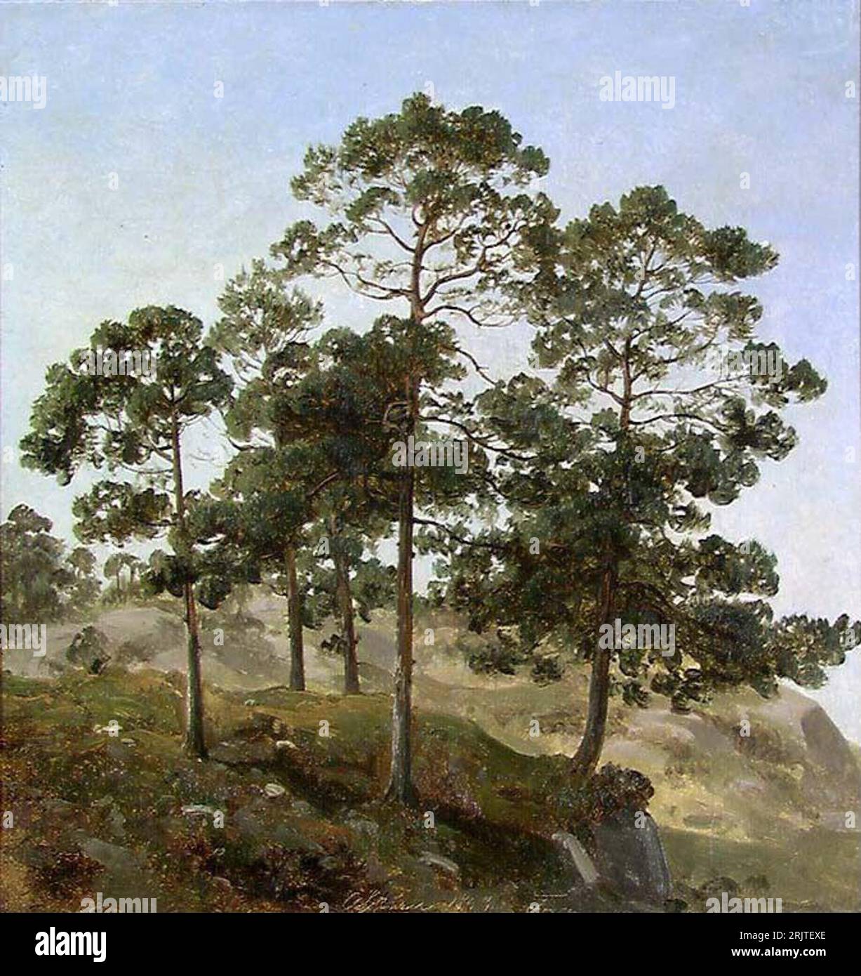Study of Trees 1843 by Joachim Frich Stock Photo - Alamy