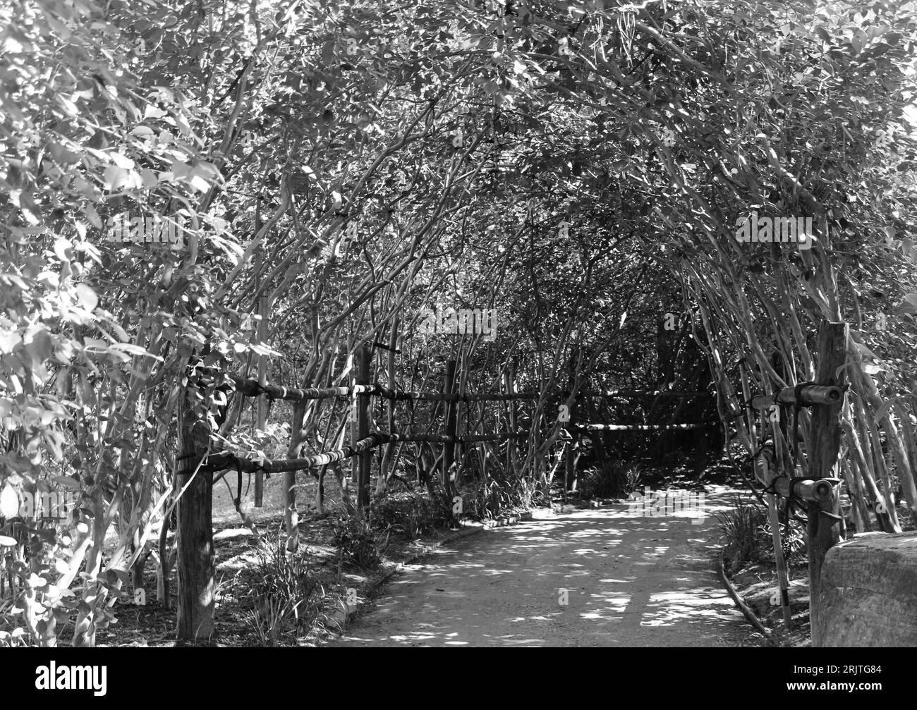 A scenic pathway in a park made of wooden posts in black and white ...