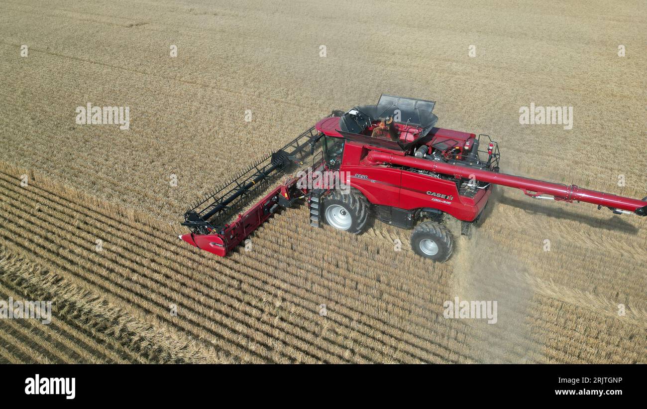 An aerial view of a vibrant, red combine harvester working in a field ...