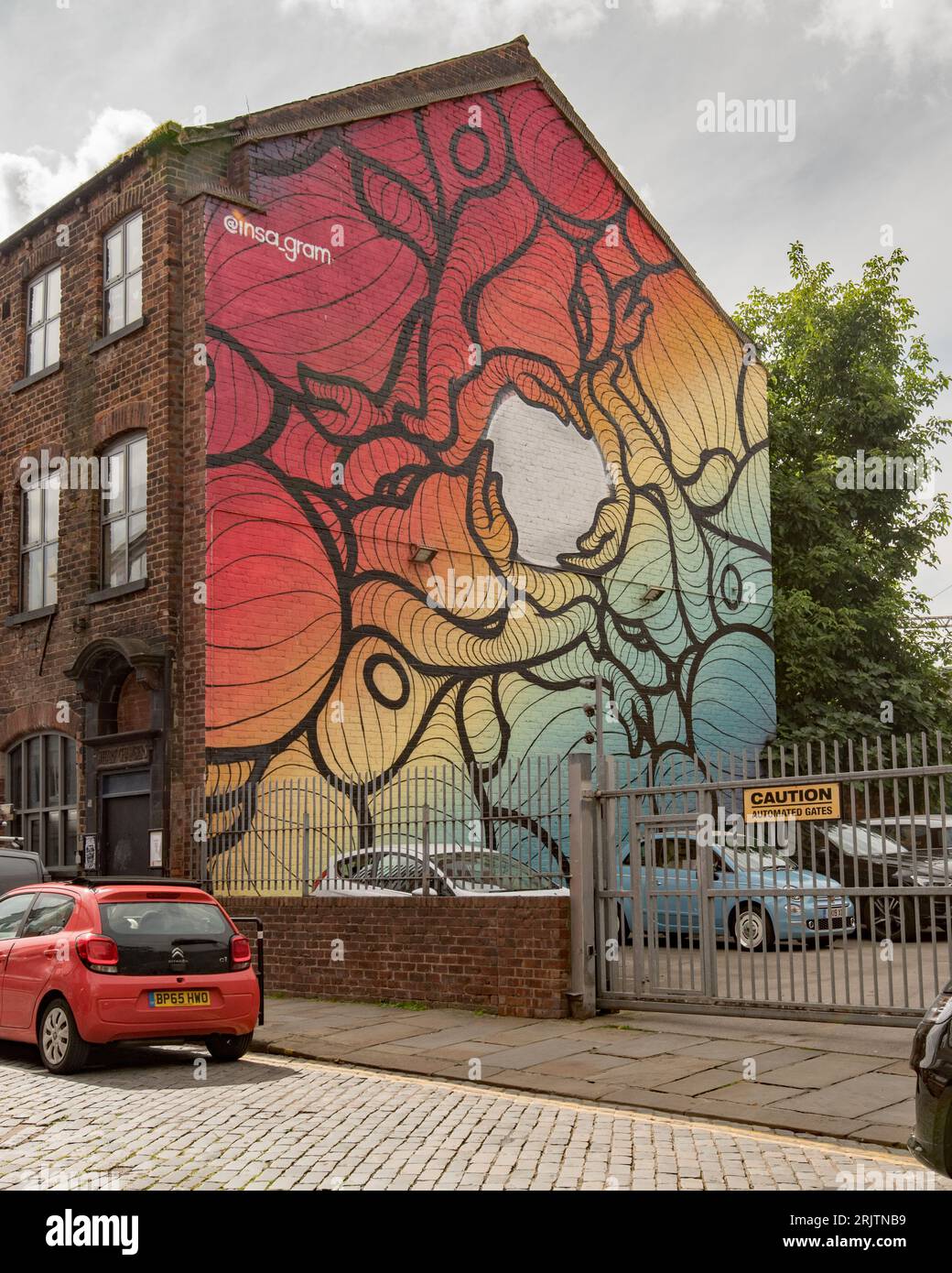 Street artist INSA mural on Wharf Chambers Leeds with rainbow coloured ...