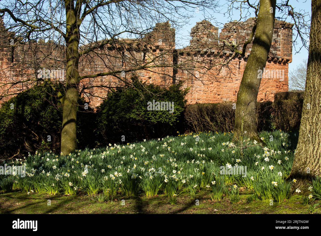 Ancient and historic medieval Penrith Castle, owned by English Heritage ...
