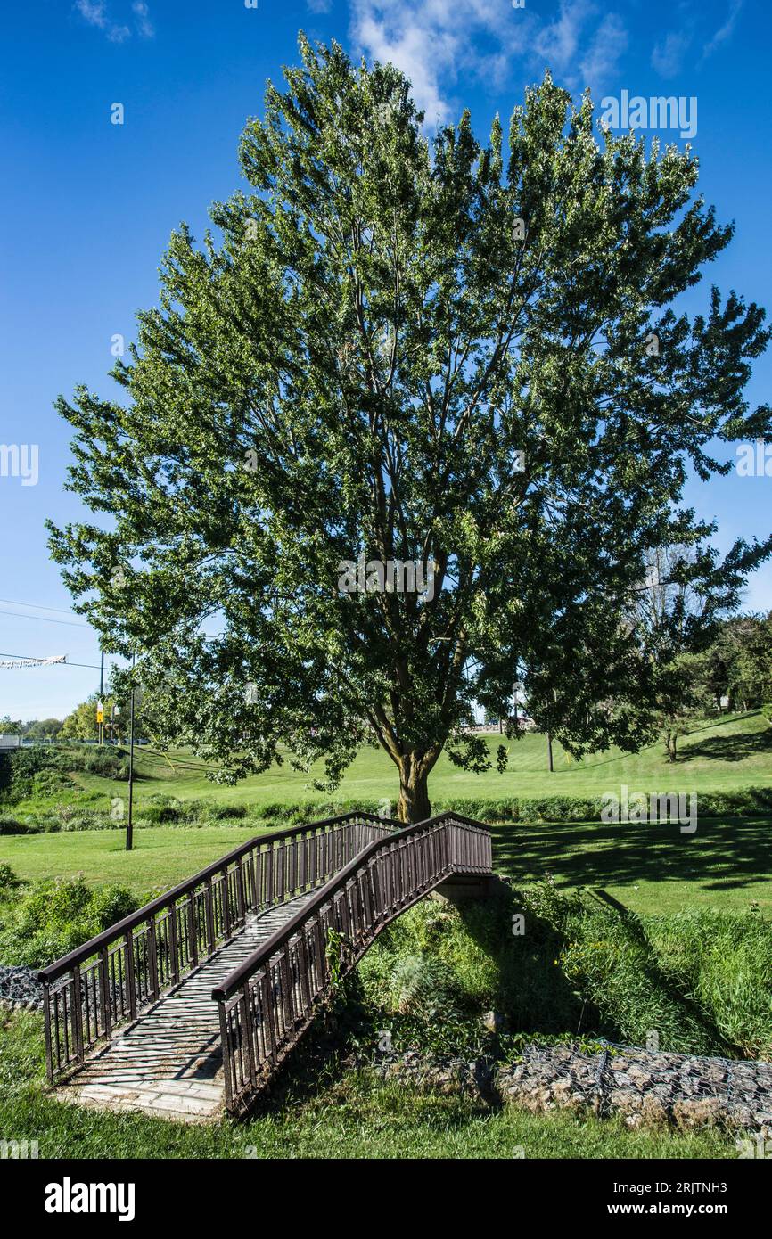 The town of Exeter, Southern Ontario (Canada), is famous for its white ...