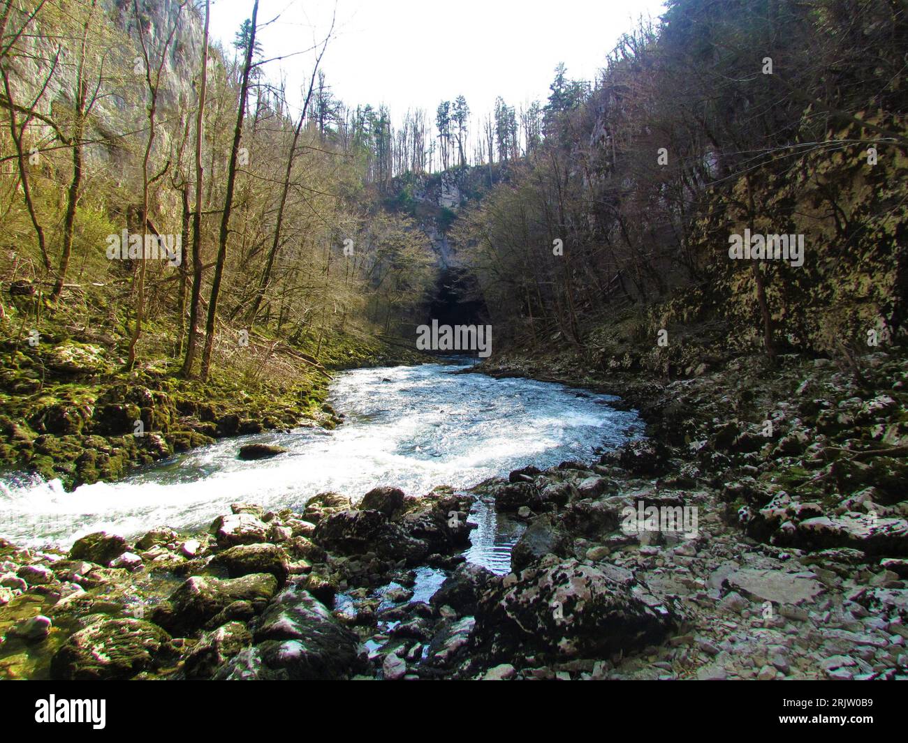 River Rak flowing into the Weaver's Cave or Tkalca jama in Rakov ...