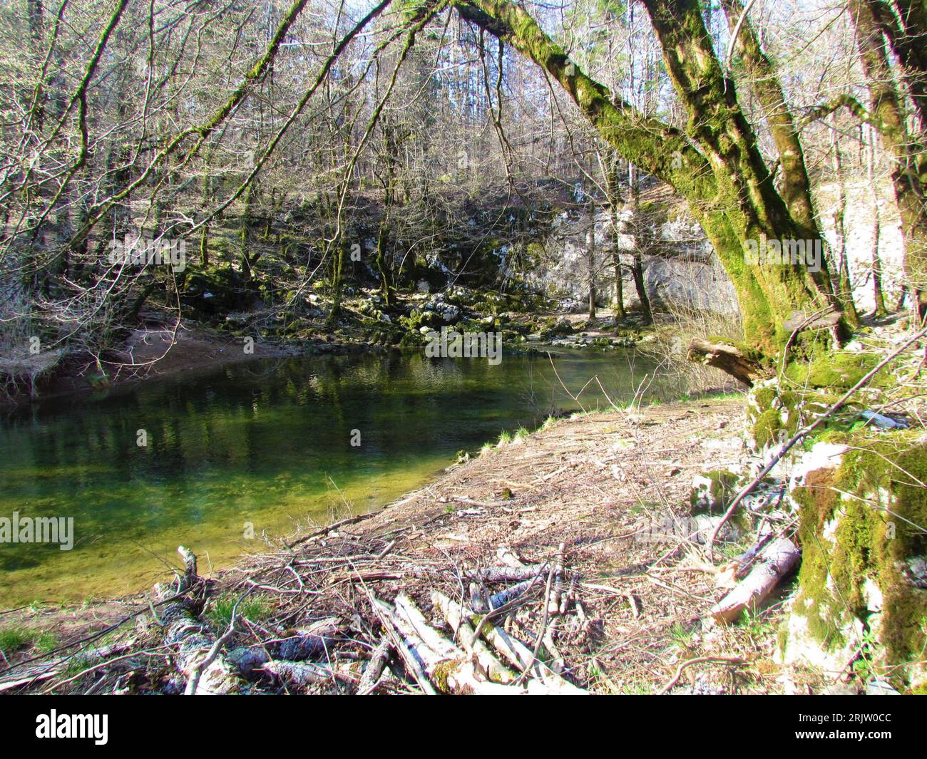 Lake in Rakov Skocjan in Notranjska region of Slovenia with woods ...