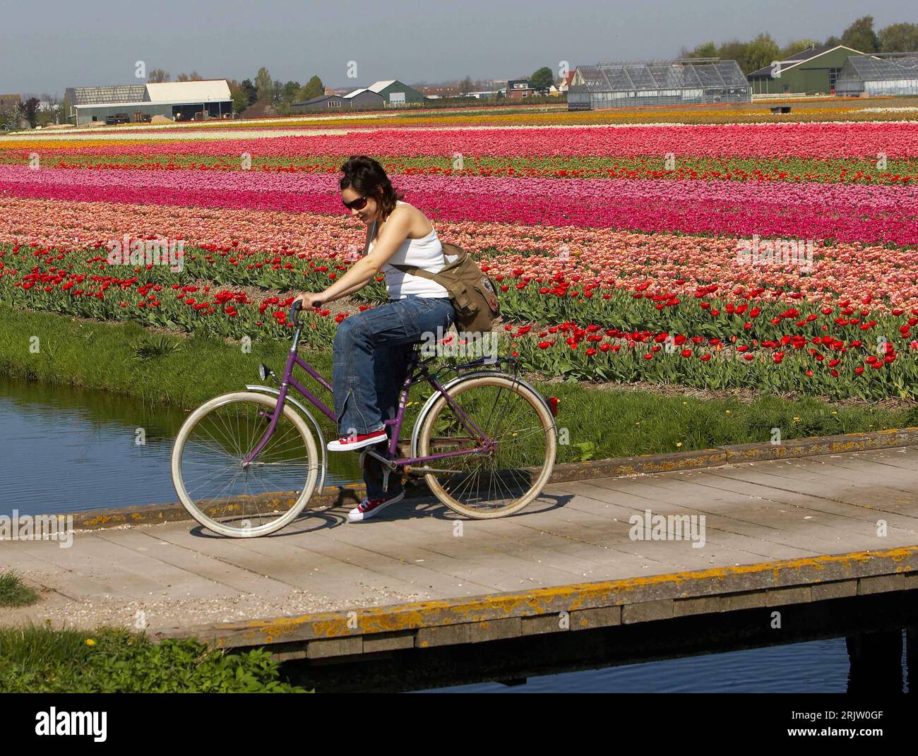 Luxus Quer Feld Ein Fahrrad Fahren Bildernull