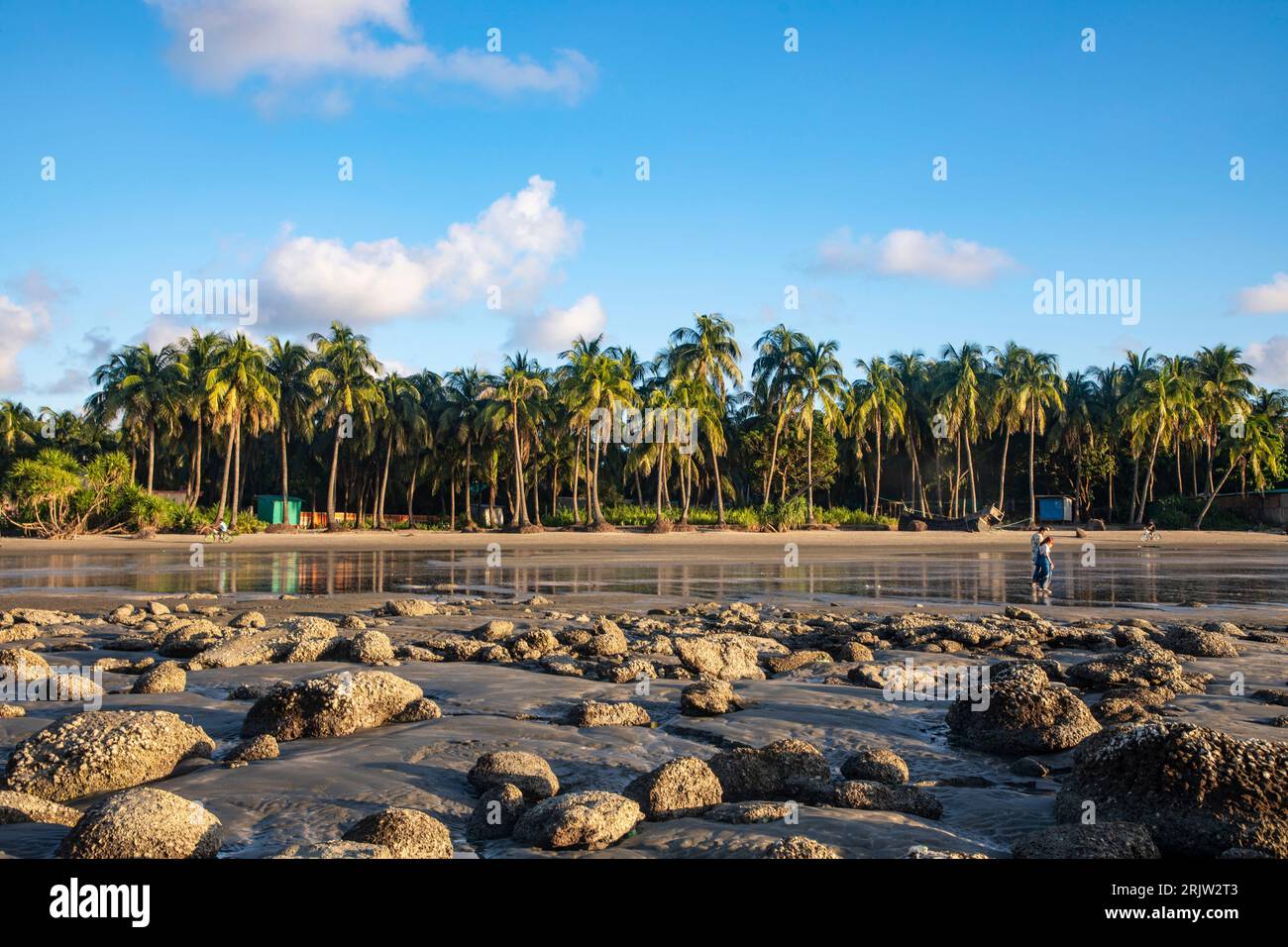 Coral stones on the sea beach at Saint Martin's Island, locally known ...