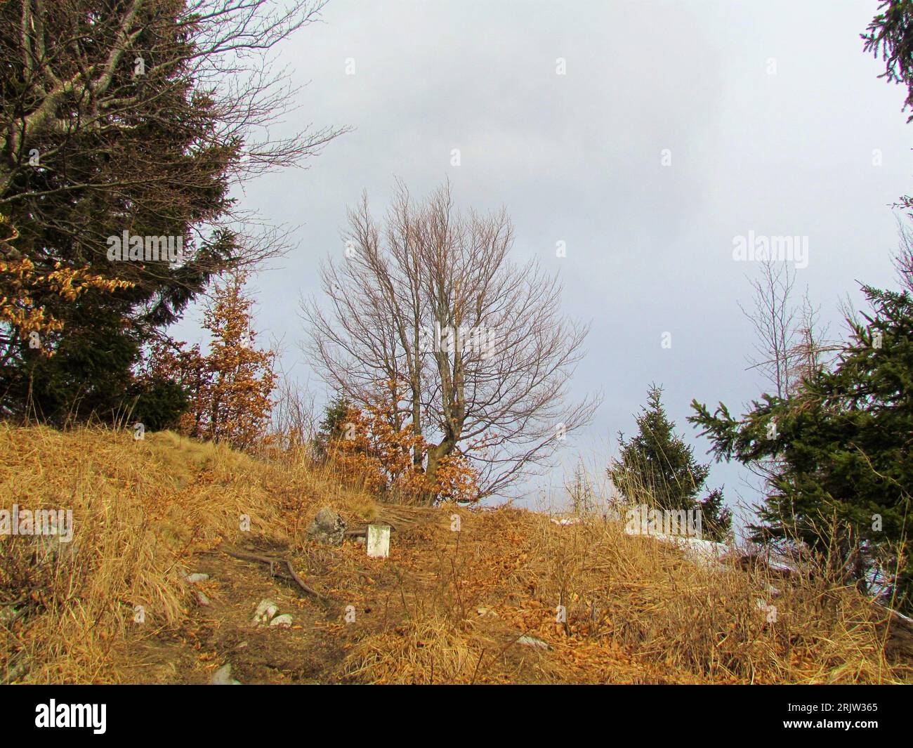 Polna pec hi-res stock photography and images - Alamy