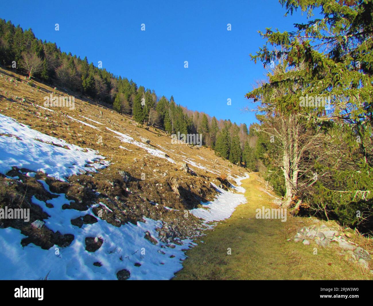 Grass covered path leading under a meadow covered slope under Dobrca in ...