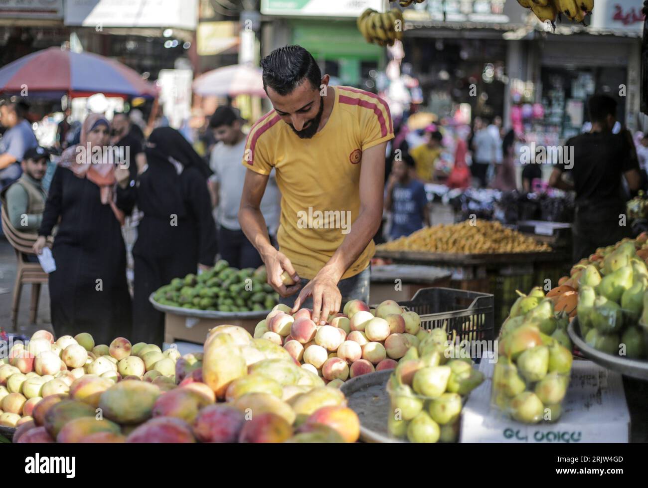 August 25, 2023, Gaza City, The Gaza Strip, Palestine: A Palestinian ...