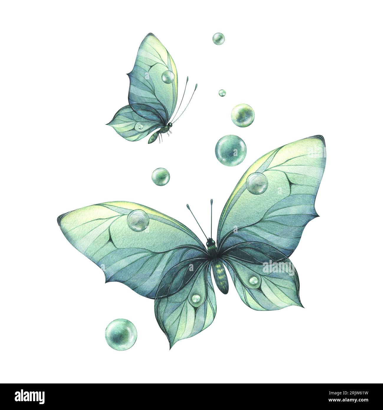 Blue, turquoise butterflies with a beautiful pattern on the wings ...