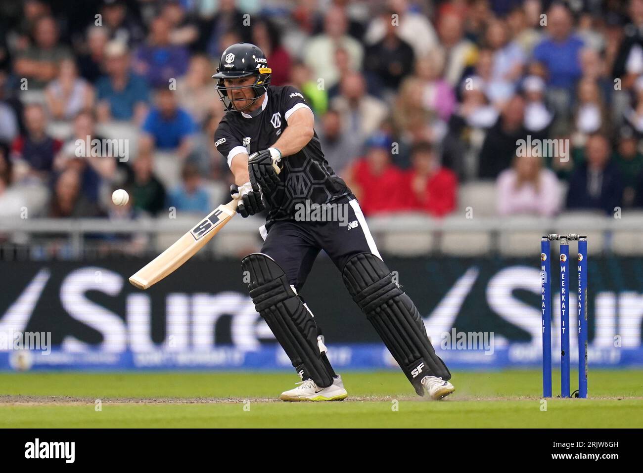 Devon conway 'hundred' hi-res stock photography and images - Alamy