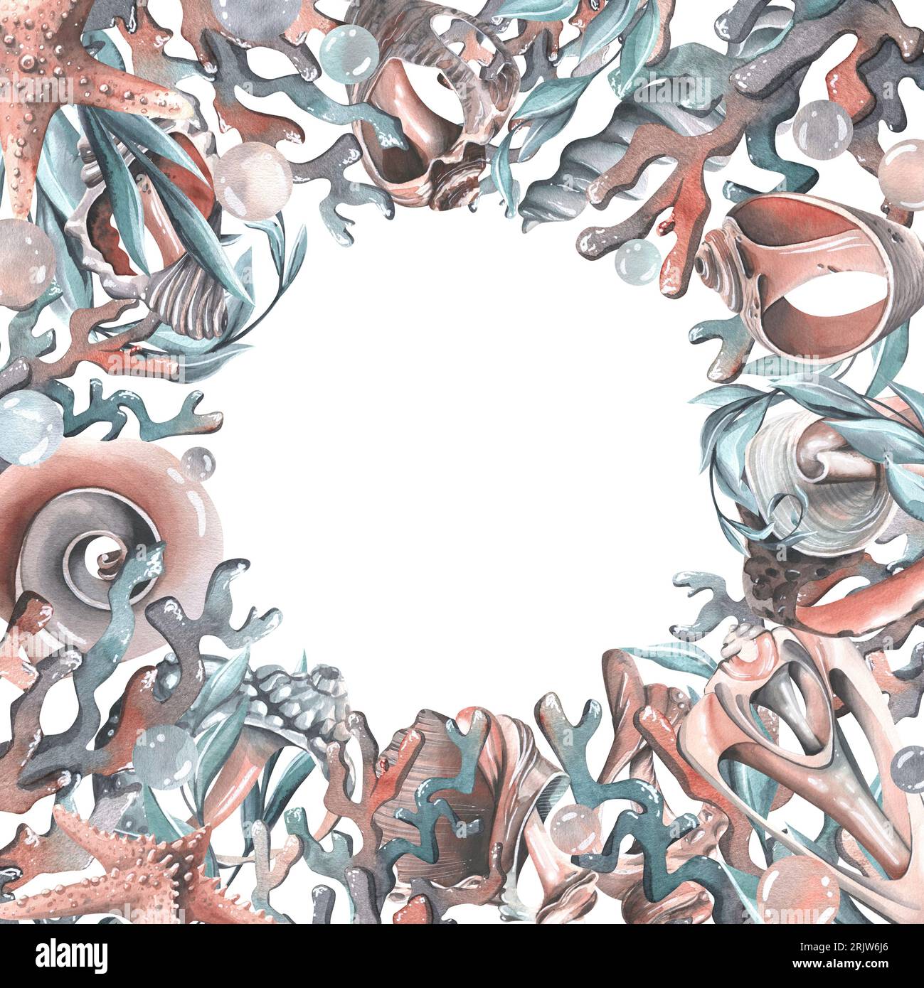 Seashells, starfishes, bubbles, algae and corals turquoise. Watercolor ...