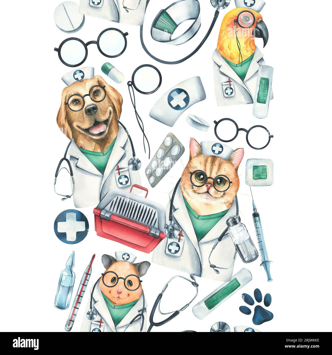 Veterinary doctors hamster, dog, cat, parrot, pet carrier, medicines ...