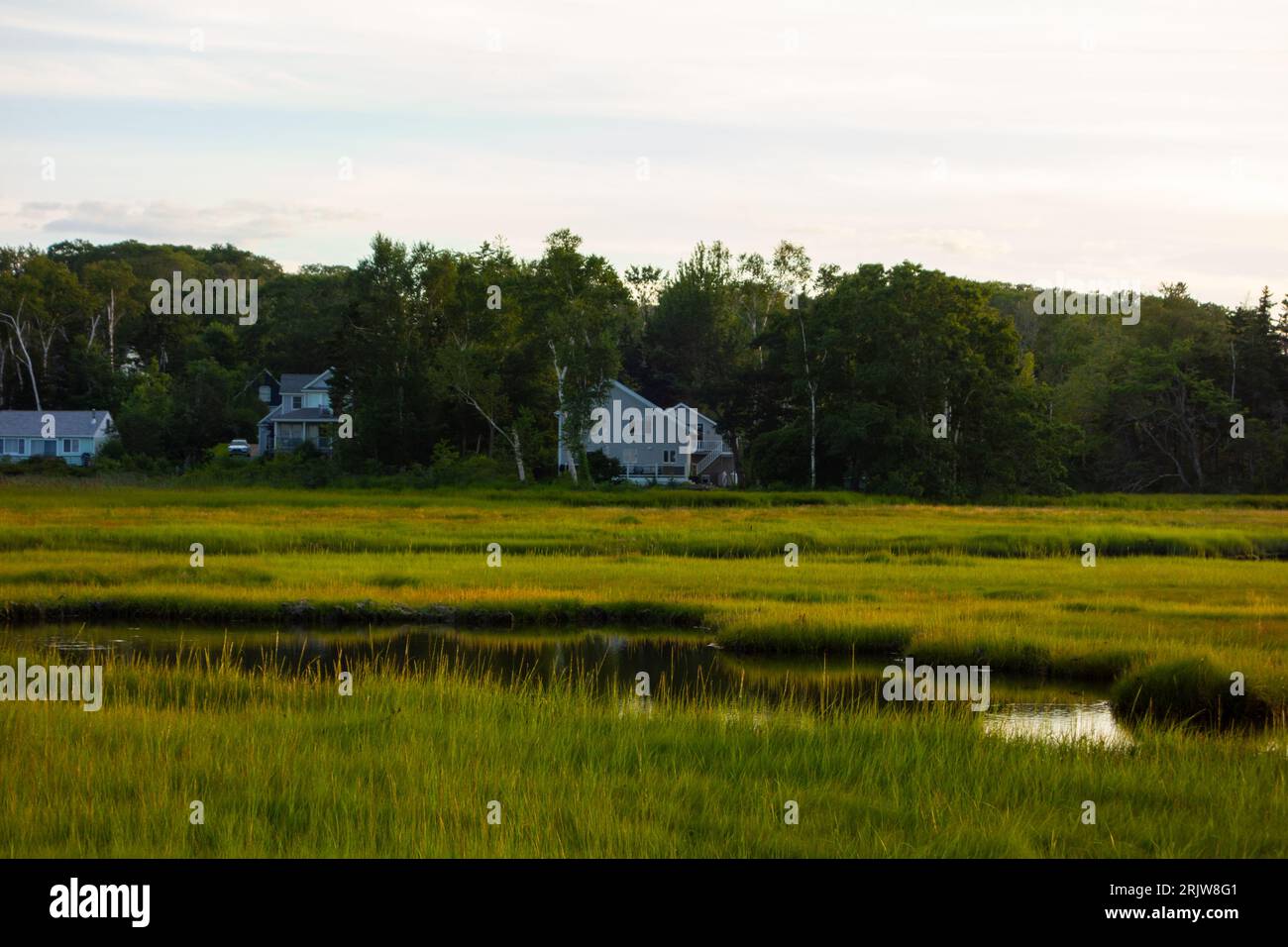 Salt marsh preserve hi-res stock photography and images - Alamy