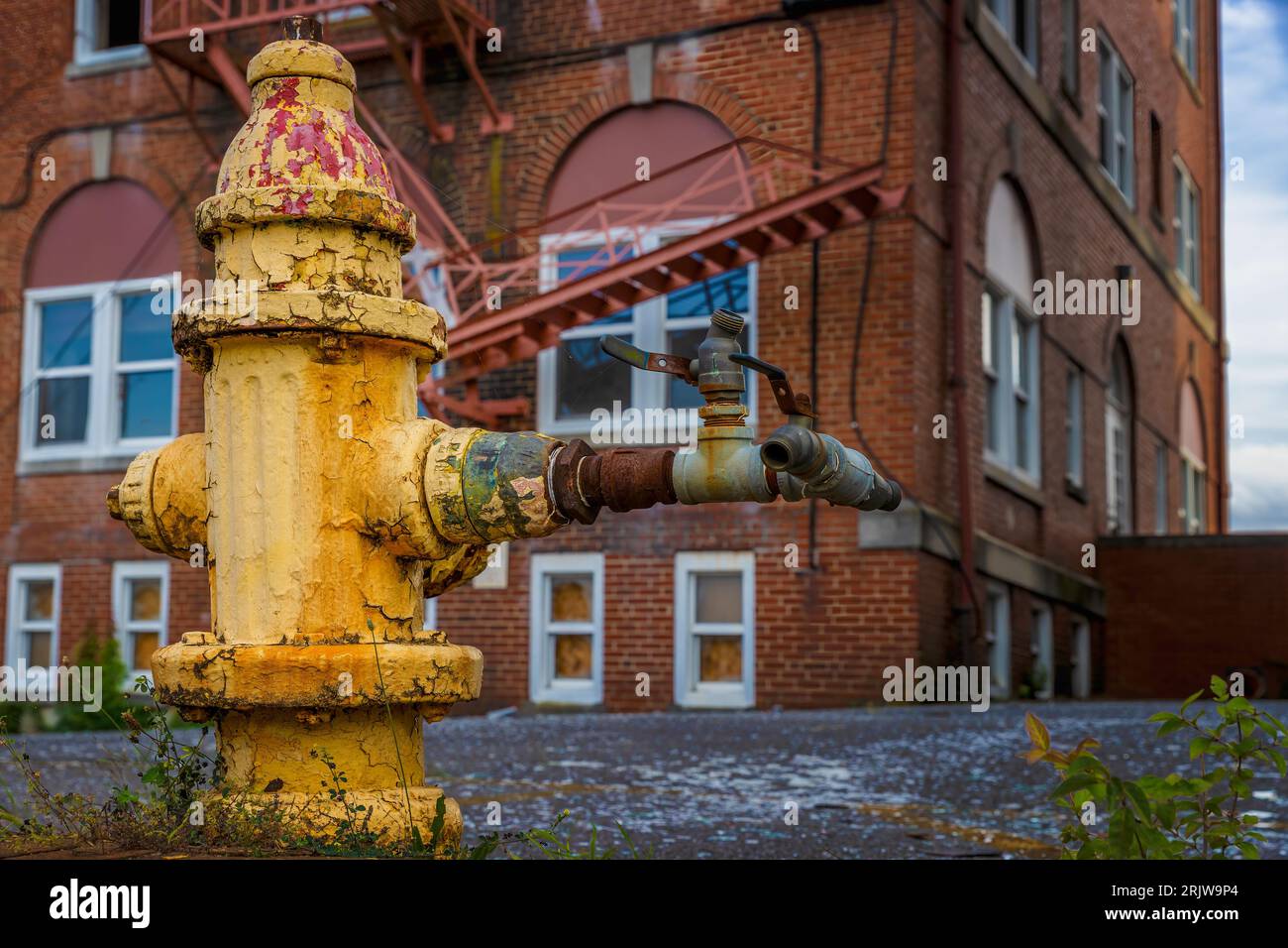 Close up of a fire hydrant in front of an abandoned brick building ...