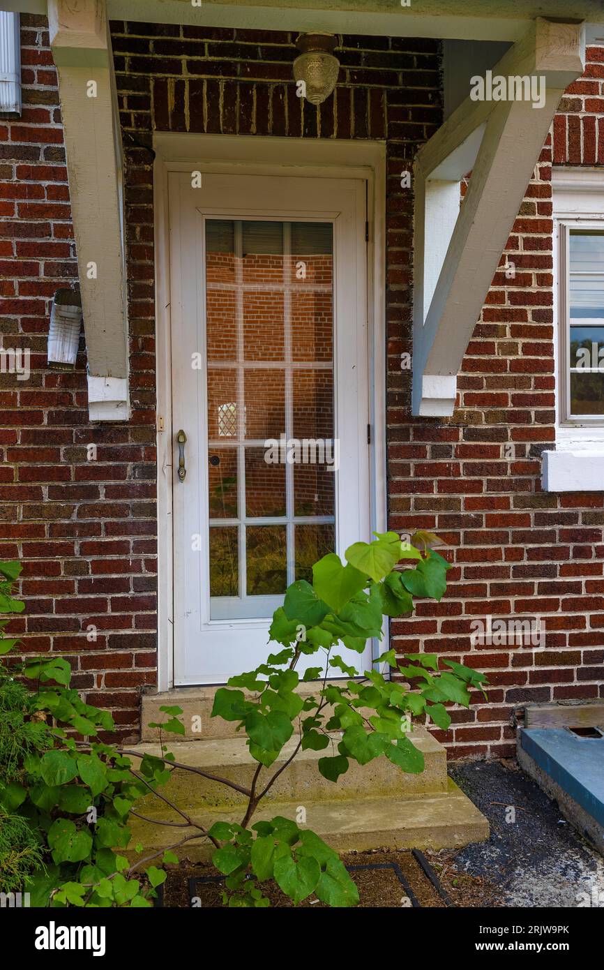 A small tree grows from a welcome mat in front of an abandoned building ...