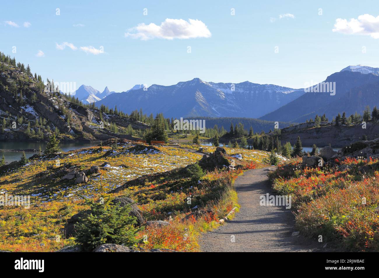 Summer day at Sunshine Meadows, Banff Stock Photo - Alamy