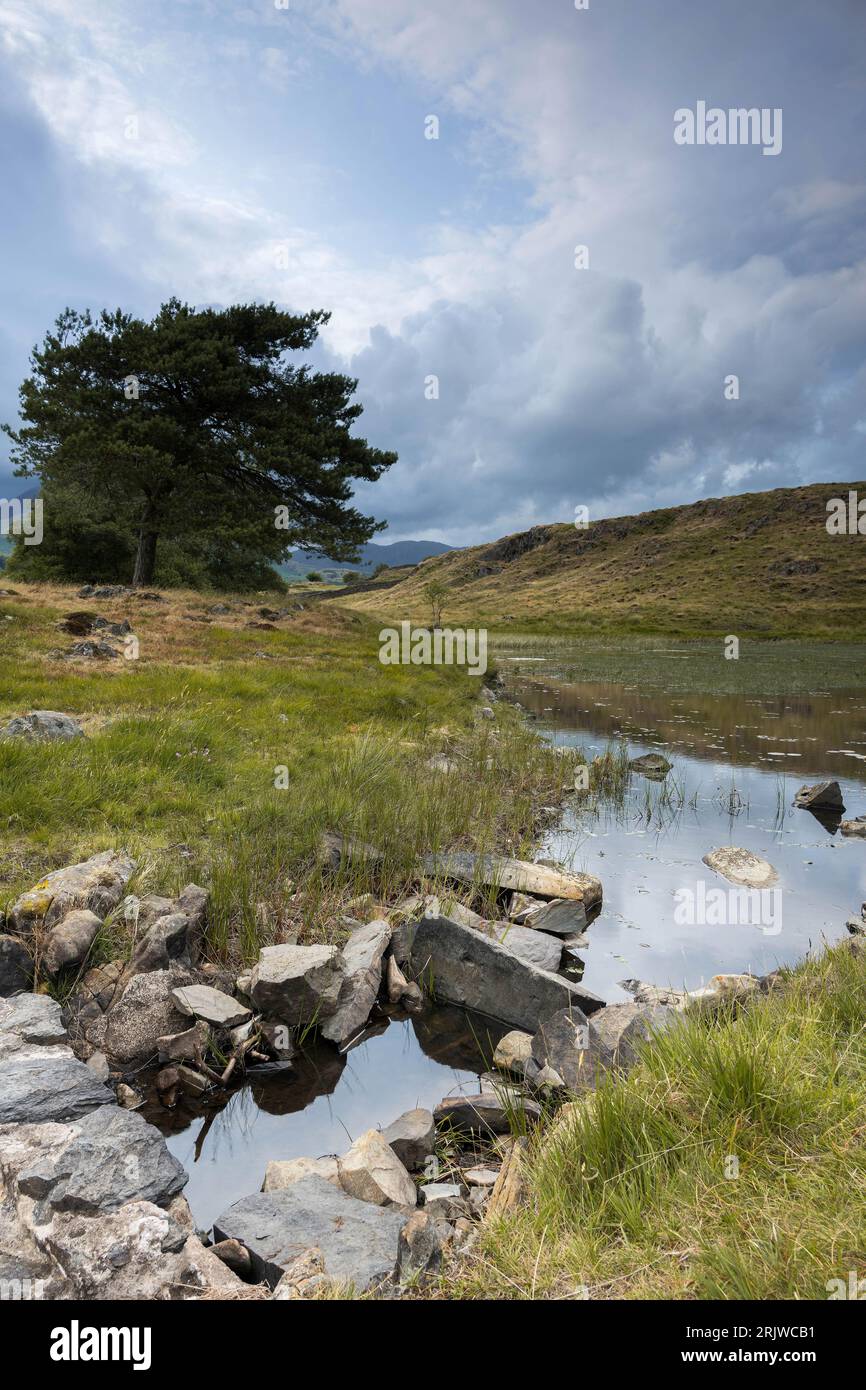 Kelly Hall Tarn is a pool in Cumbria Stock Photo - Alamy