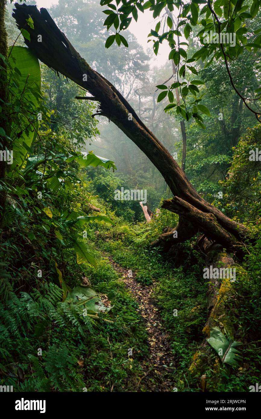 Indigenous reserves hi-res stock photography and images - Alamy