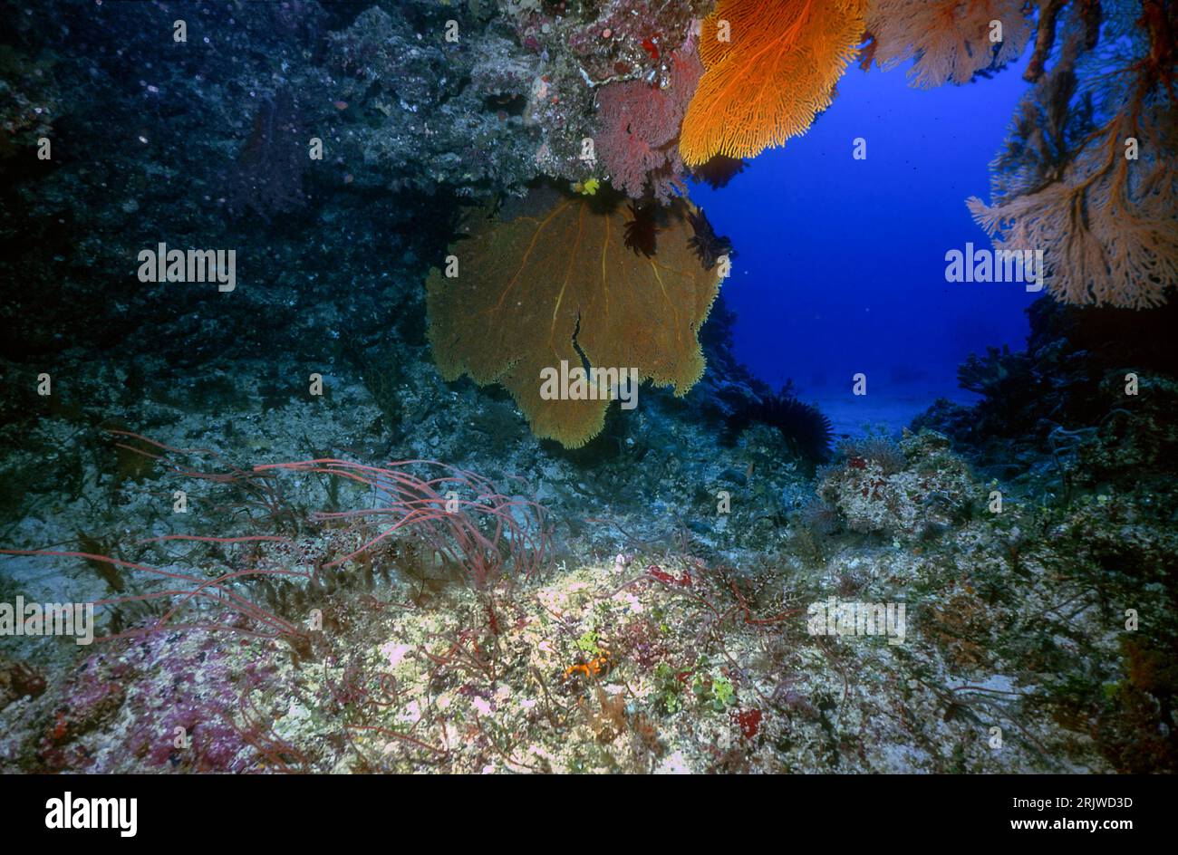 Flinders reefs hi-res stock photography and images - Alamy