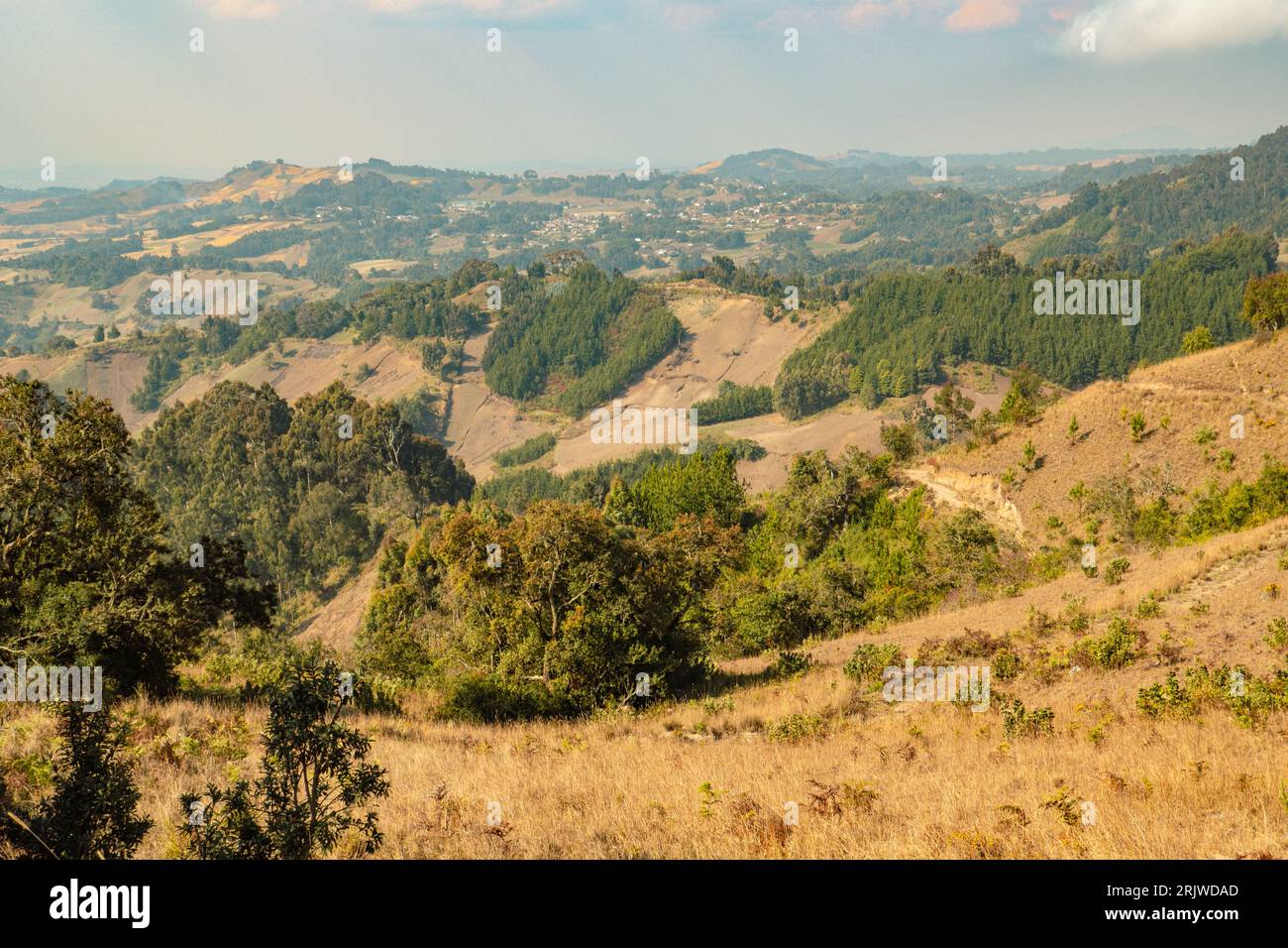 African landscapes with acacia trees and maize farms in Mporoto Range ...
