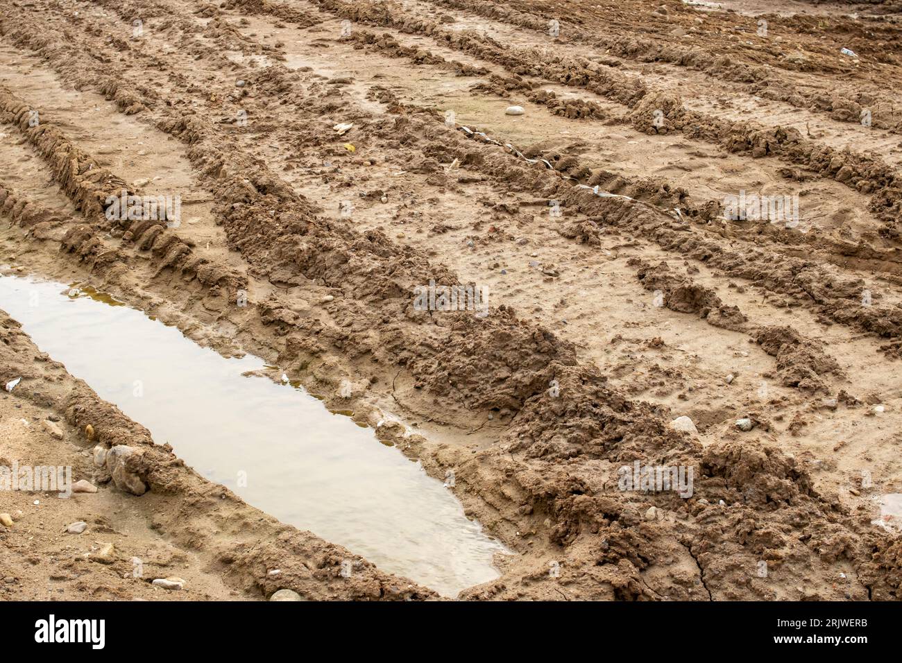 Puddles of rain on a meadow hi-res stock photography and images - Alamy