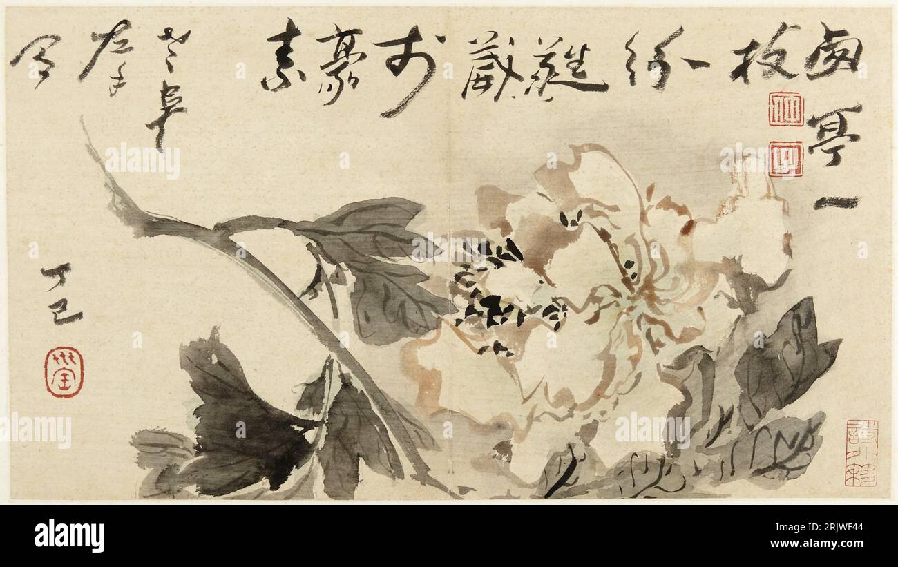 Hua niao hi-res stock photography and images - Alamy